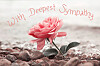 Obituaries