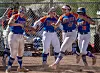 Tigers capture district baseball, softball titles